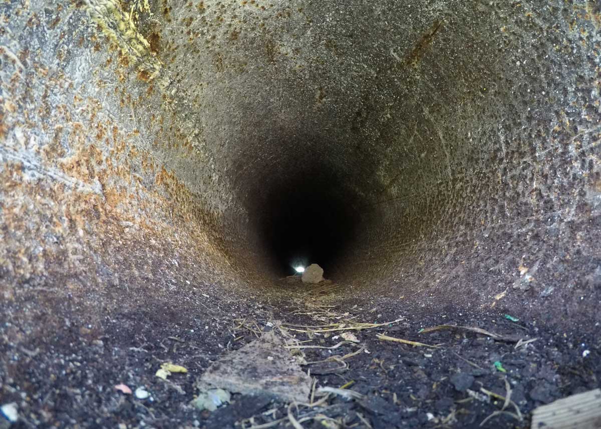 HARP (High Altitude Research Project ) Barbados - BajanThings