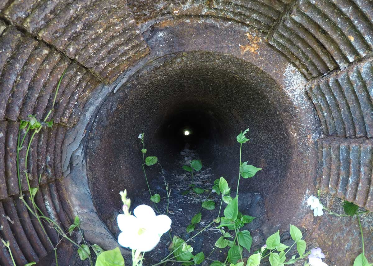 HARP (High Altitude Research Project ) Barbados - BajanThings