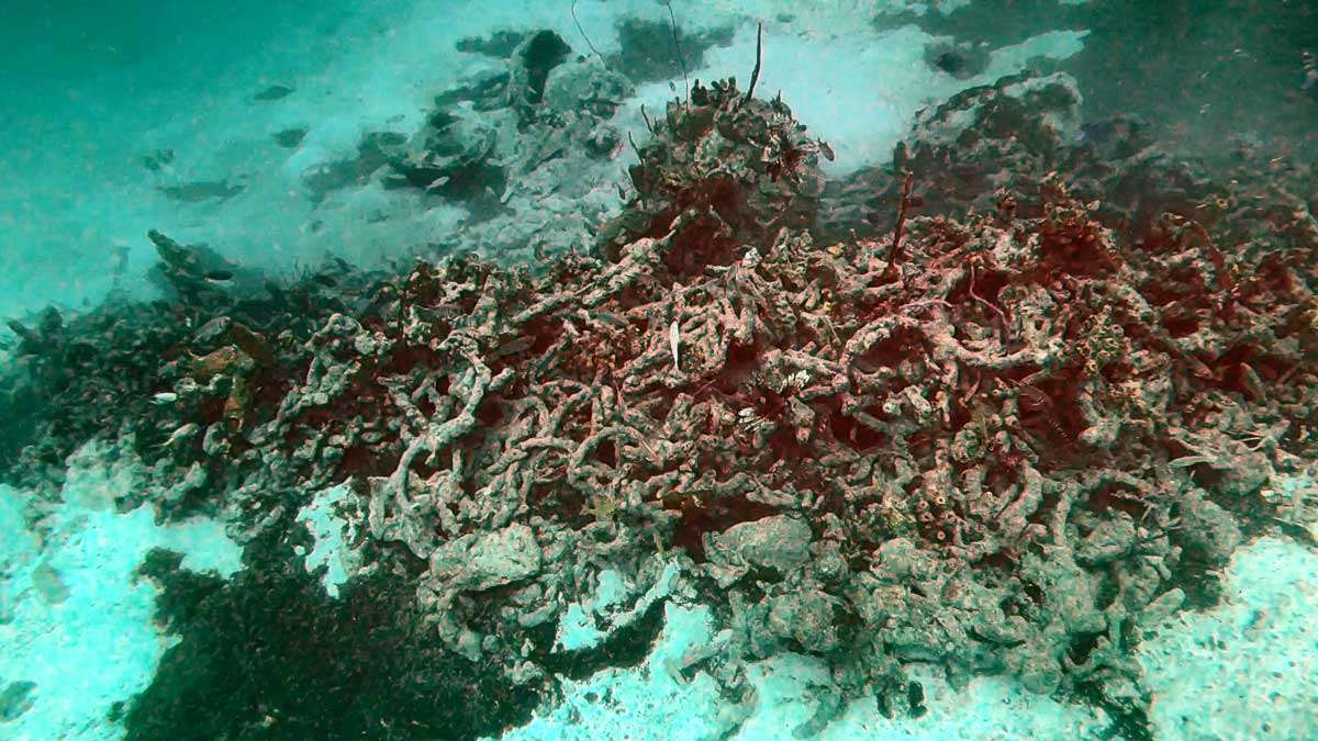 Breaching Carlisle Bay Torpedo Net Barbados 11 Sept 1942 - BajanThings