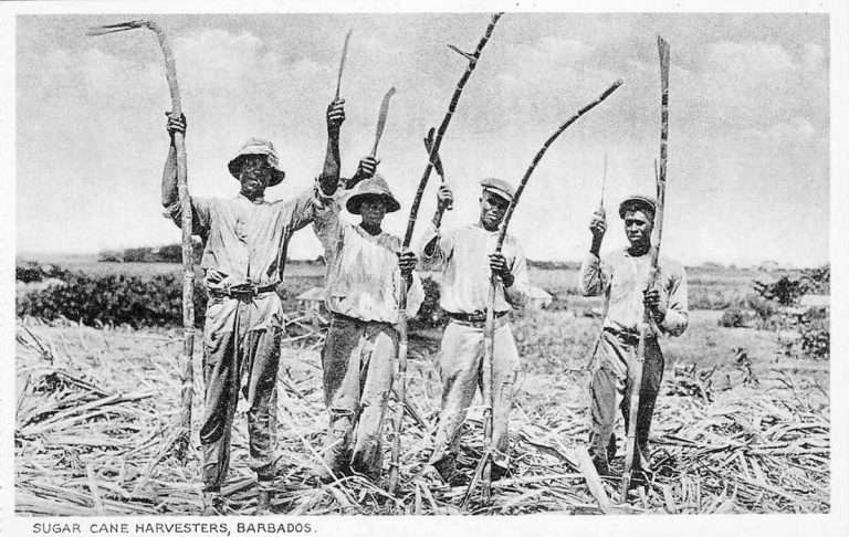Plantation Life in Barbados in the 1950s - BajanThings