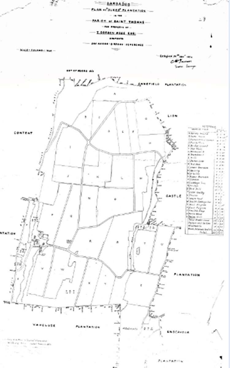 Dukes Plantation field naming analysis - BajanThings