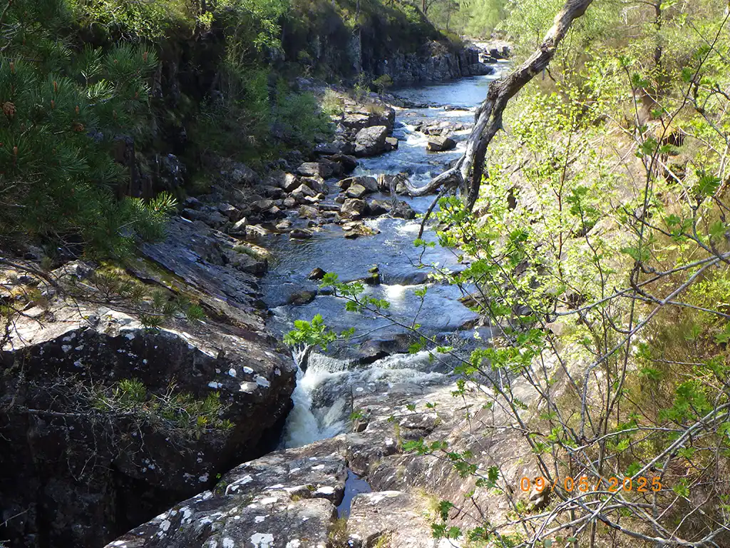 TGOC 2025: My 14-Day Adventure in Scotland