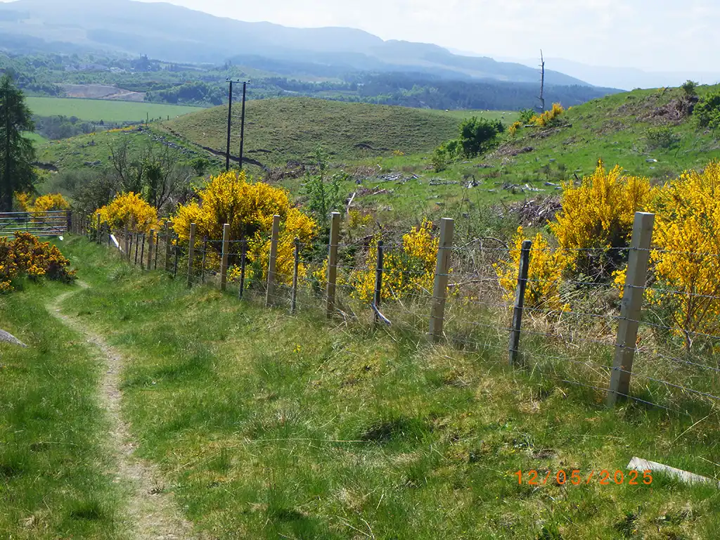 TGOC 2025: My 14-Day Adventure in Scotland