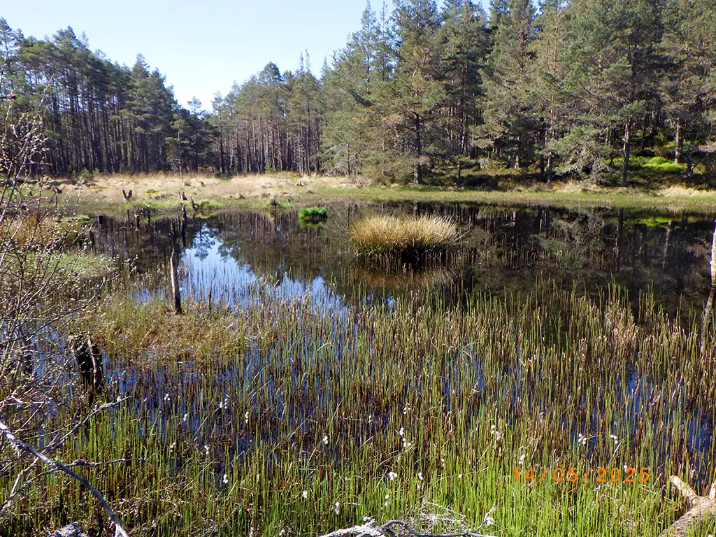 TGOC 2025: My 14-Day Adventure in Scotland