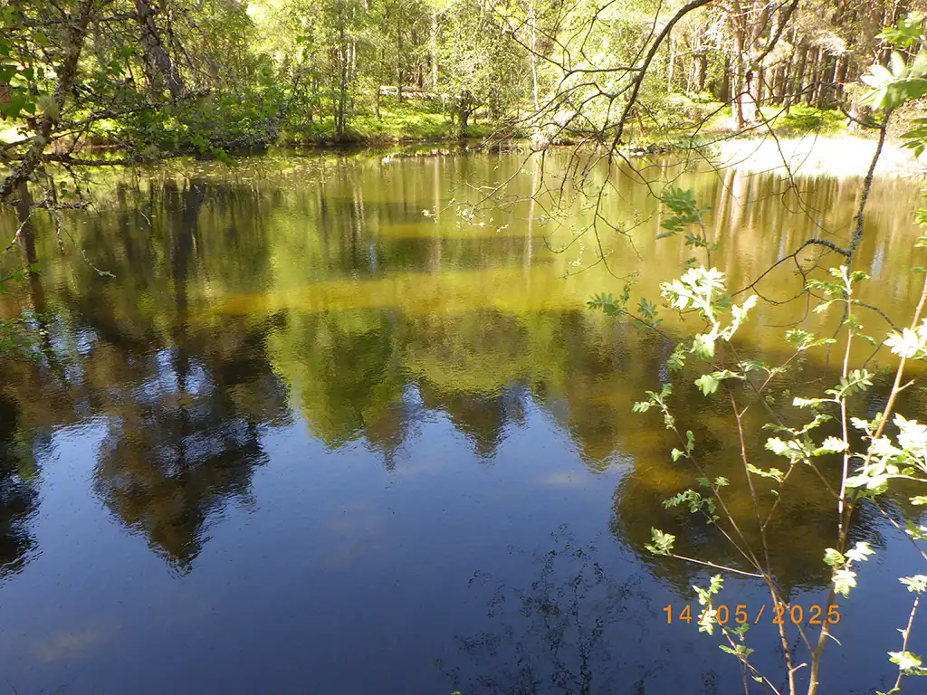 TGOC 2025: My 14-Day Adventure in Scotland