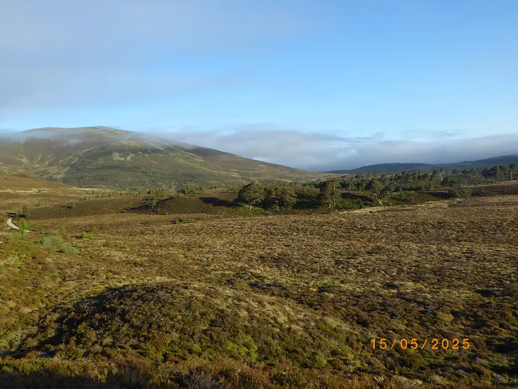 TGOC 2025: My 14-Day Adventure in Scotland