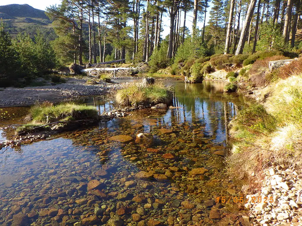 TGOC 2025: My 14-Day Adventure in Scotland